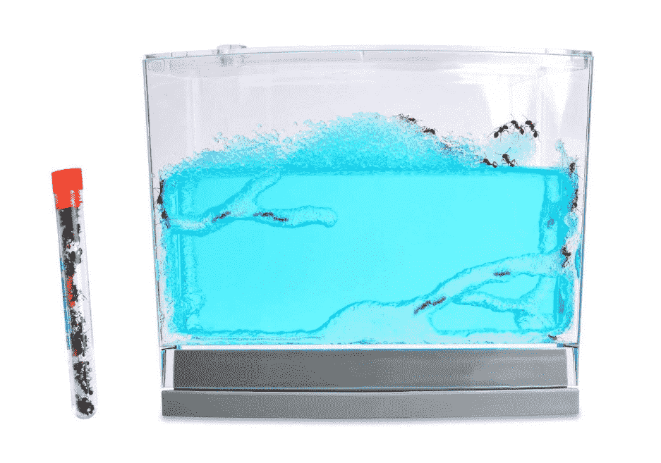 Best Gel Ant Farms for Kids Review 2019 – Choosing Blue Gel Ant Farm ...